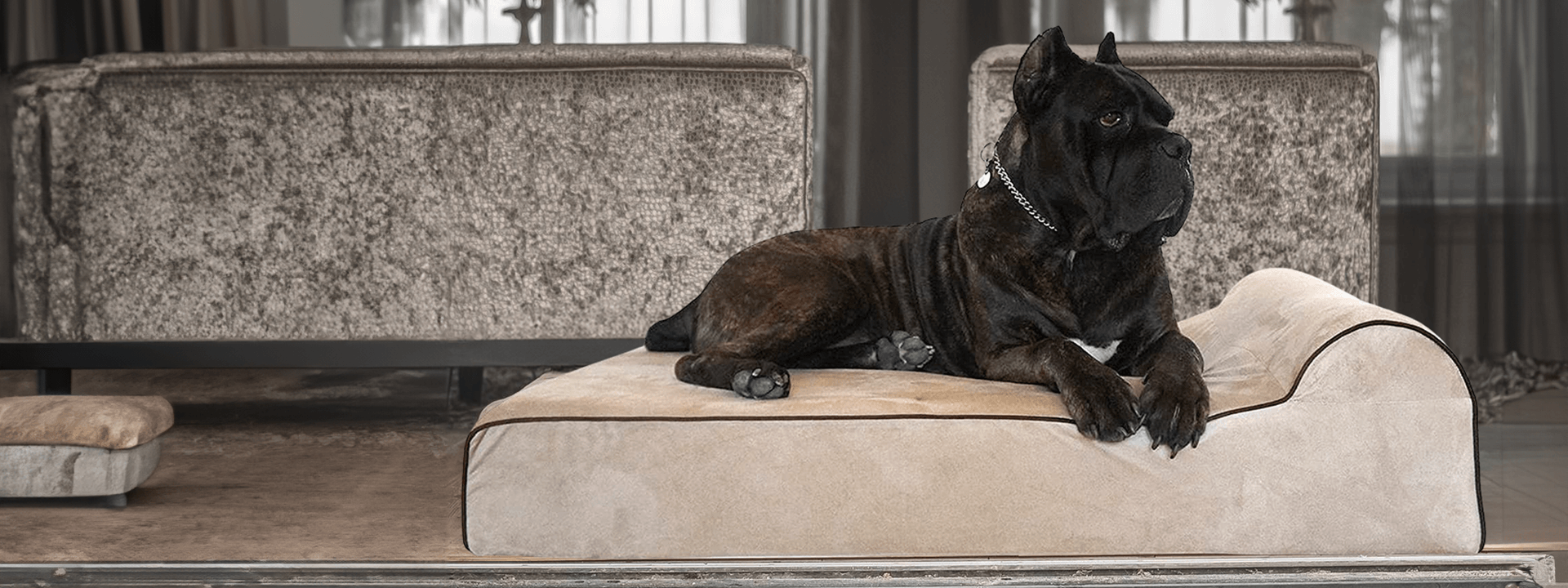 Dog Beds for Large Dogs | Orthopedic Dog Beds | Bully Beds