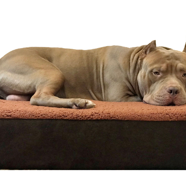 Dog Bed Covers | Washable Dog Bed Covers | Bully Beds