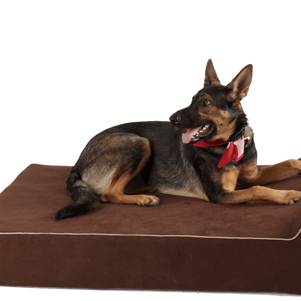 Dog Bed Covers | Washable Dog Bed Covers | Bully Beds