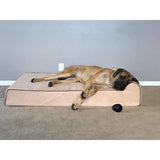 Extra Large Dog Beds | Big Dog Beds | Bully Beds